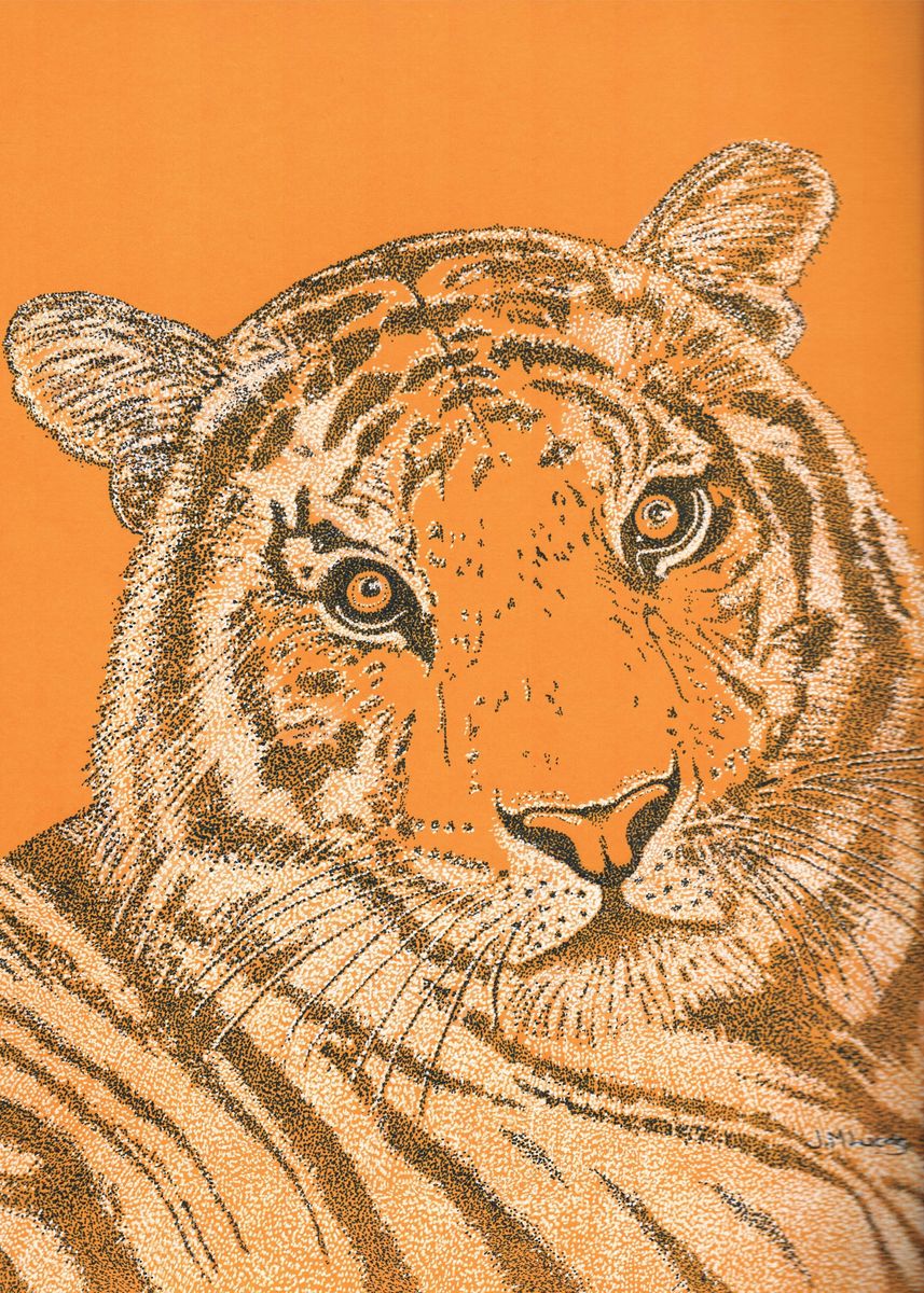 'Tiger in Orange' Poster, picture, metal print, paint by Jane Lucas ...