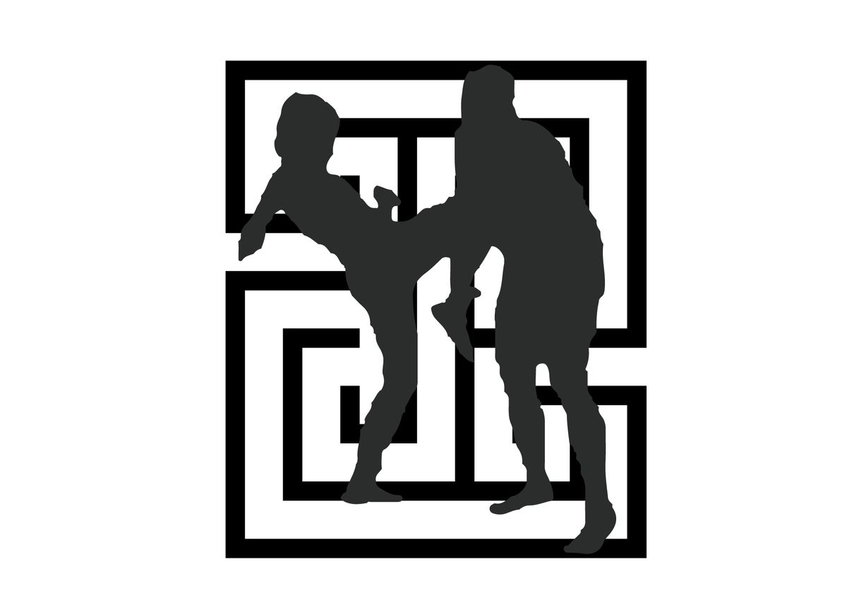 'Krav Maga' Poster by Nemanja Stošić | Displate