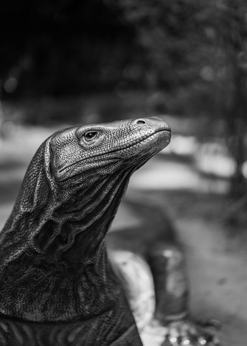 'Komodo Dragon Portrait' Poster by Steven Pineda | Displate
