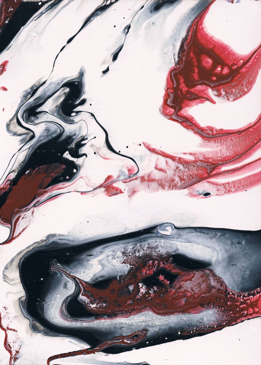 'Redback' Poster, picture, metal print, paint by Jane Lucas | Displate