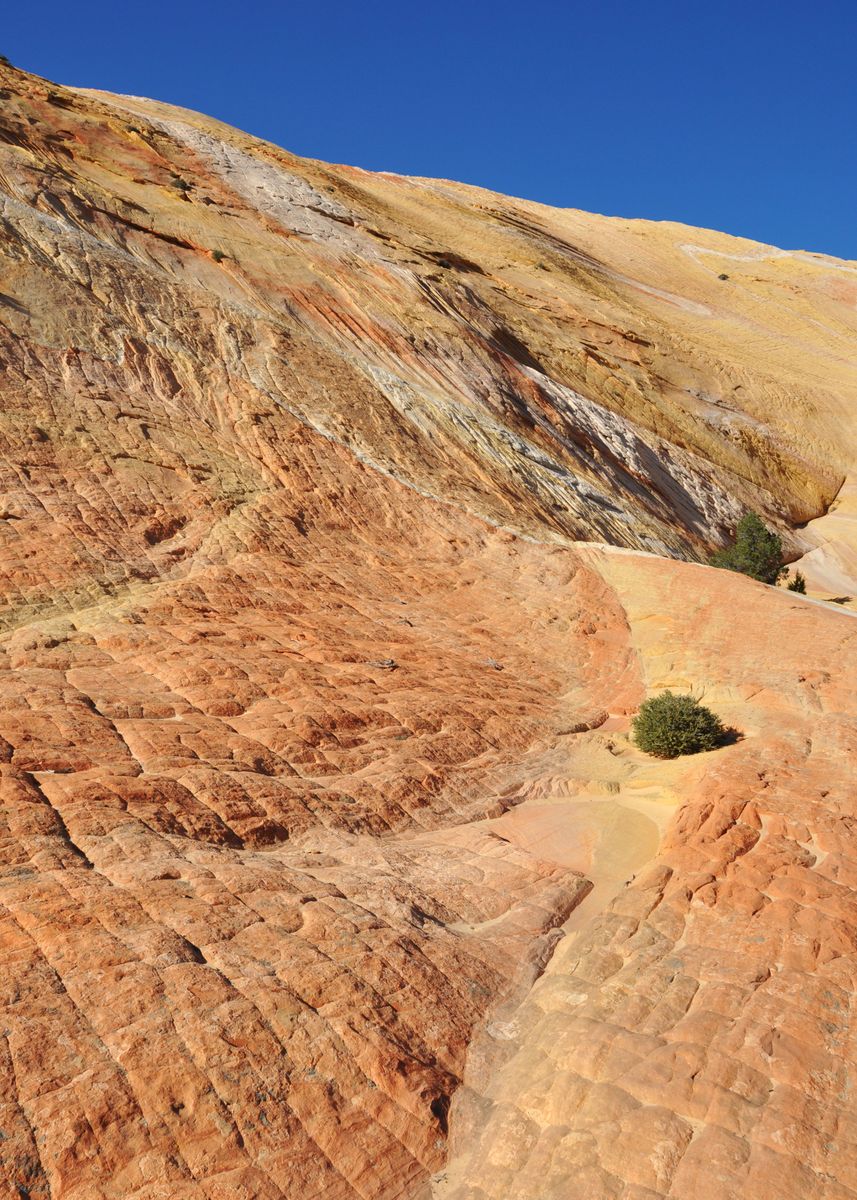 'yellow rock mountain' Poster by alex neumayer | Displate