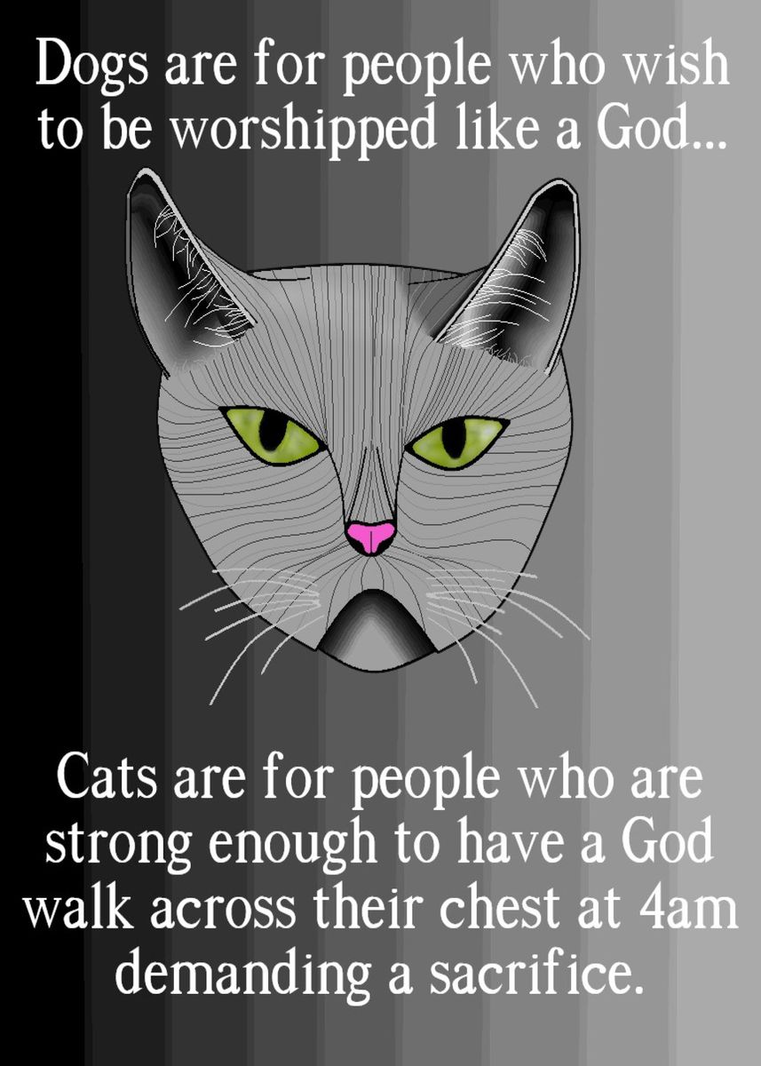 'The God Cat' Poster, picture, metal print, paint by Alex | Displate