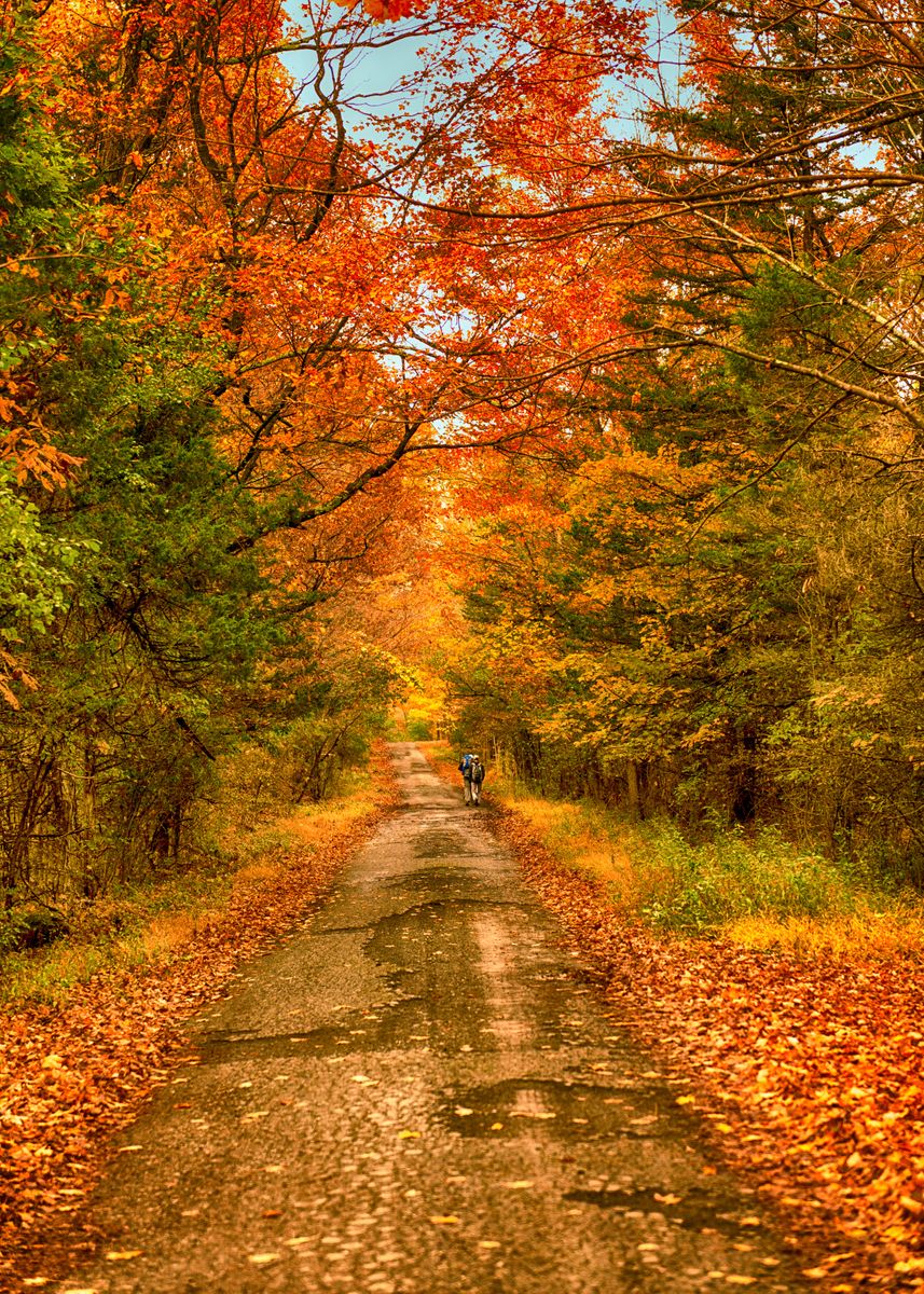 'The Road less Traveled ' Poster, picture, metal print, paint by Manny ...