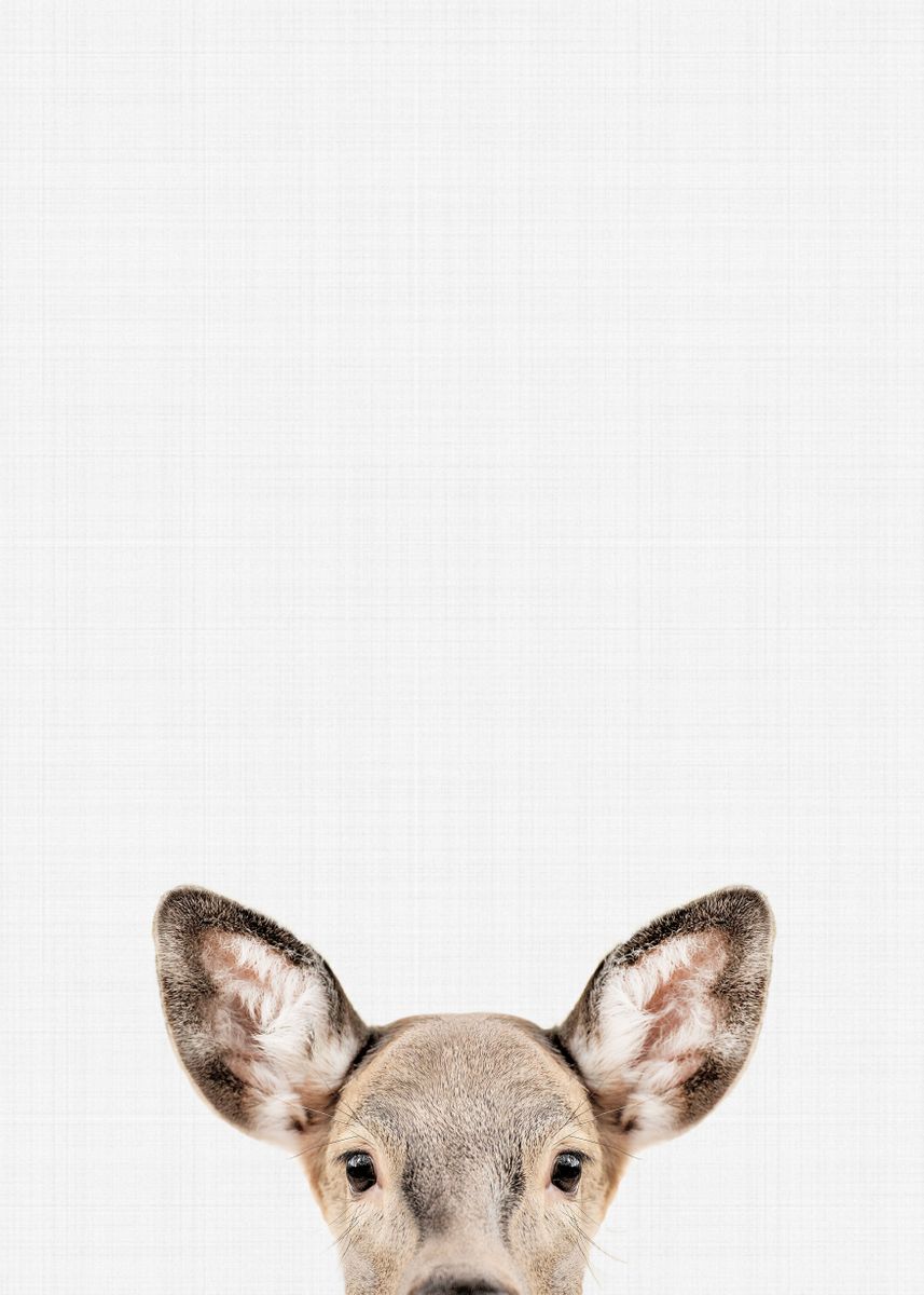 'Doe Portrait' Poster, picture, metal print, paint by VividAtelier ...