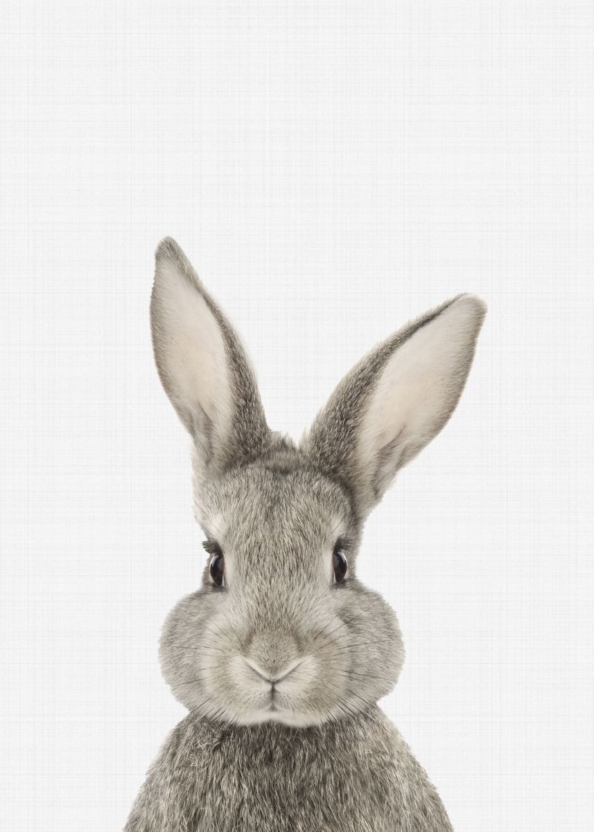 'Rabbit Portrait' Poster, picture, metal print, paint by VividAtelier ...