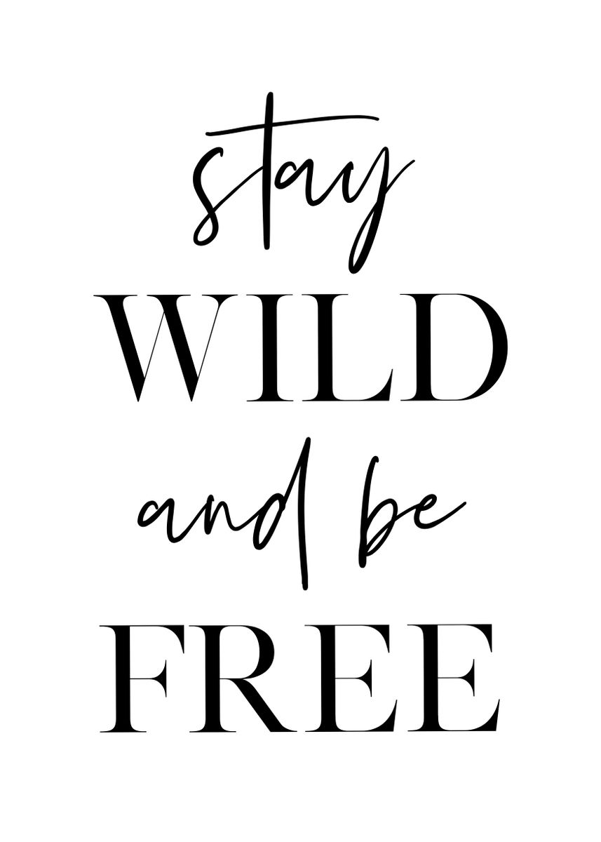 'Stay Wild and be Free' Poster by VividAtelier | Displate
