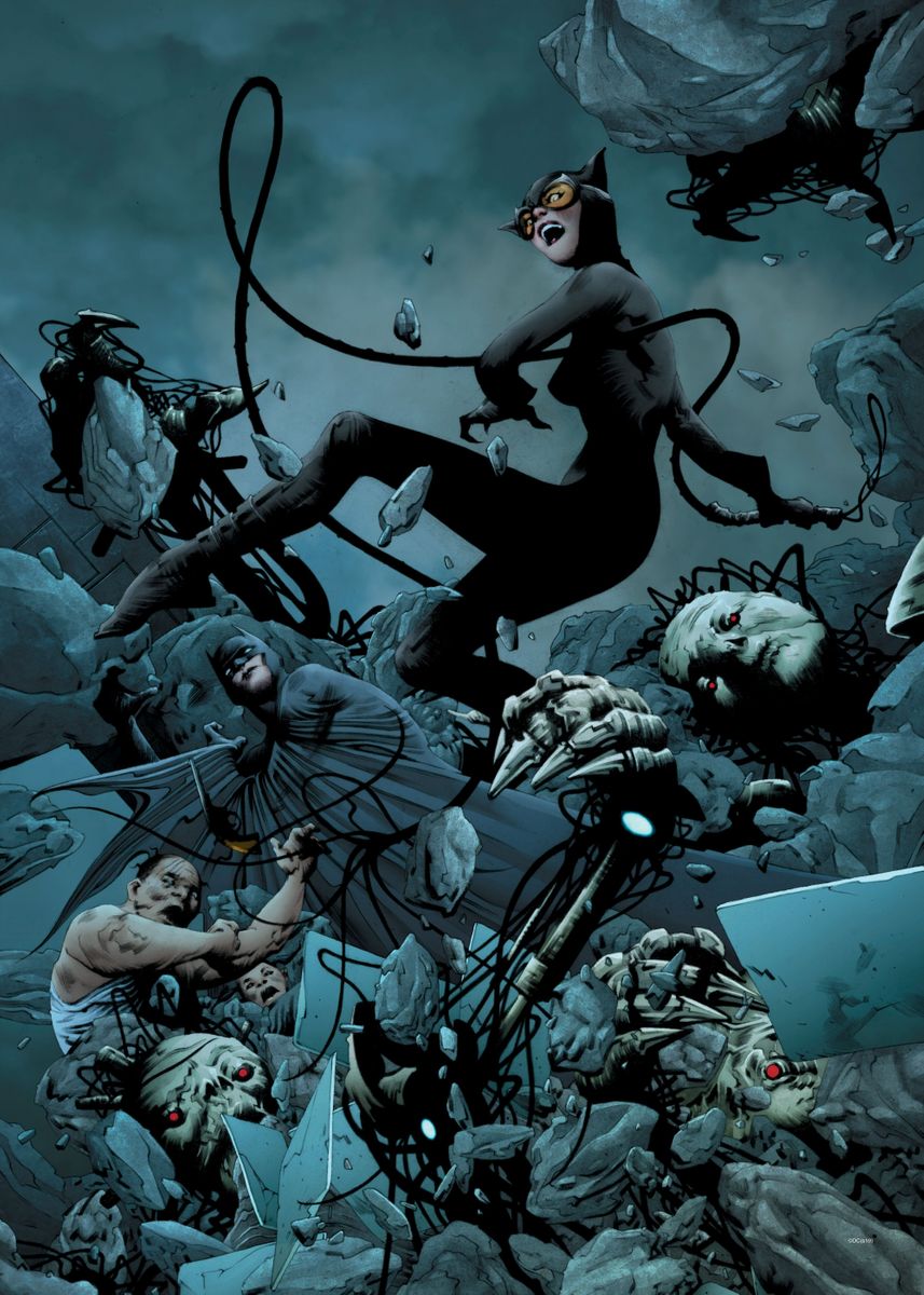 'Catwoman by Jae Lee' Poster, picture, metal print, paint by DC Comics ...