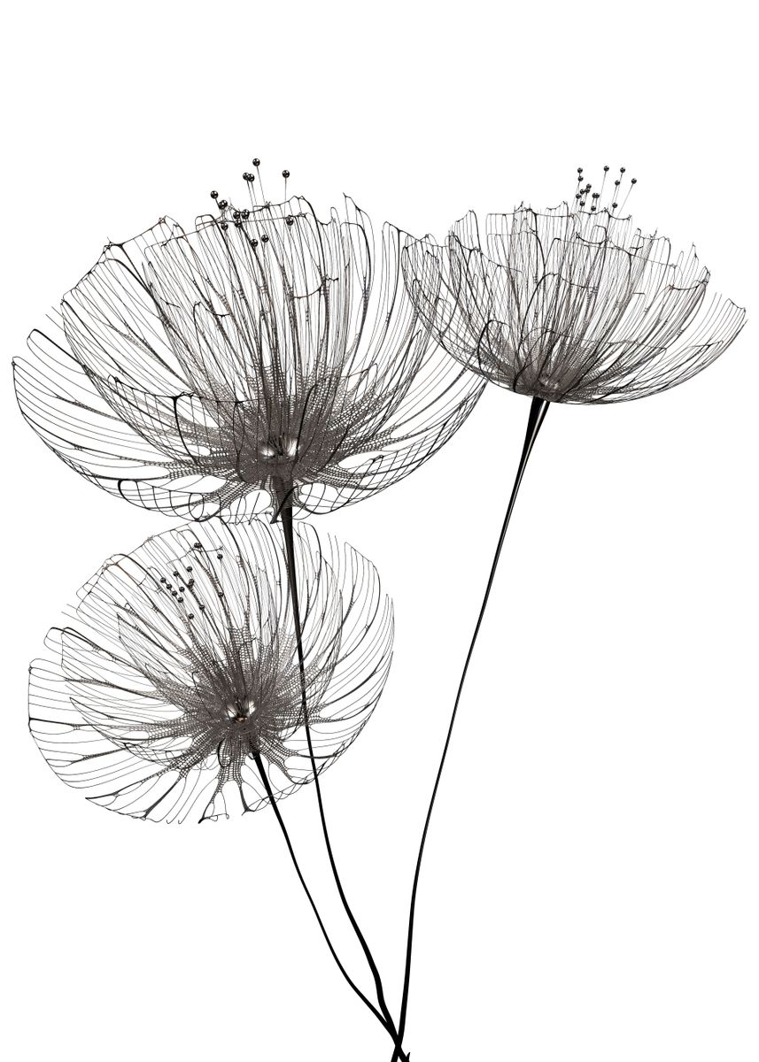 'Minimalist flowers' Poster by Aivaras Grauzinis | Displate