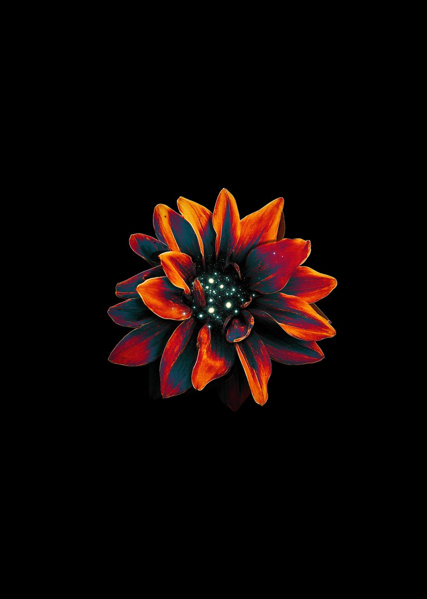 'Otherworldly Flower' Poster, picture, metal print, paint by Zach ...