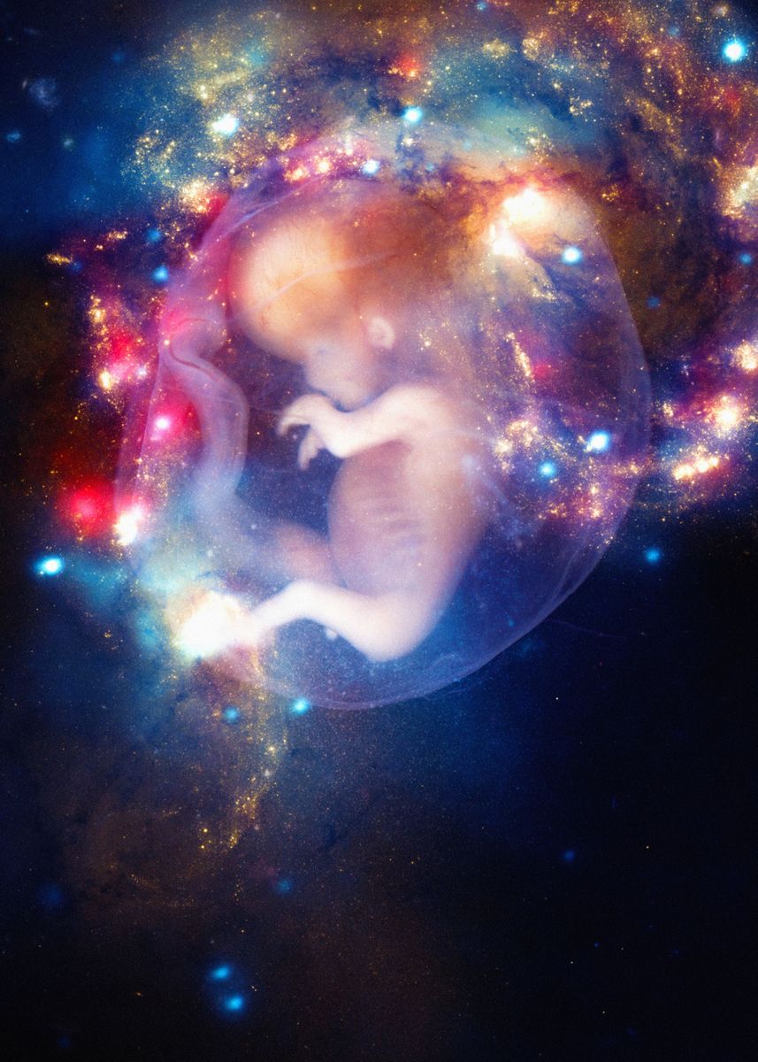 'Embryo' Poster, picture, metal print, paint by vl graphicdesign | Displate