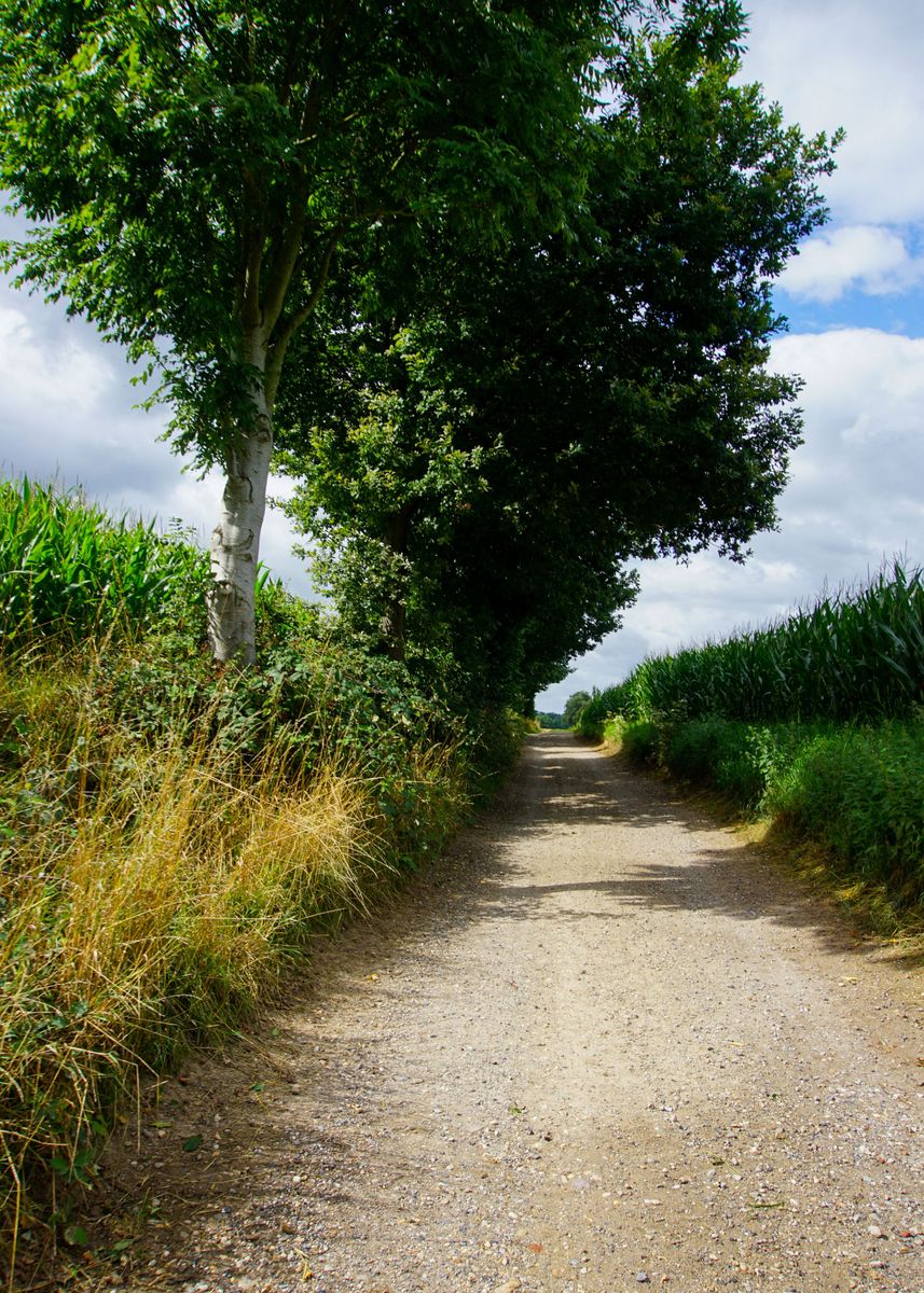 'A Road through Nature' Poster by Jay Jay | Displate