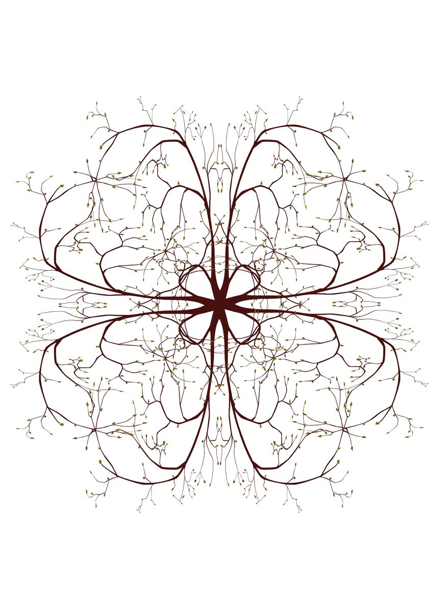 'Tree Branches Mandala' Poster, picture, metal print, paint by ...