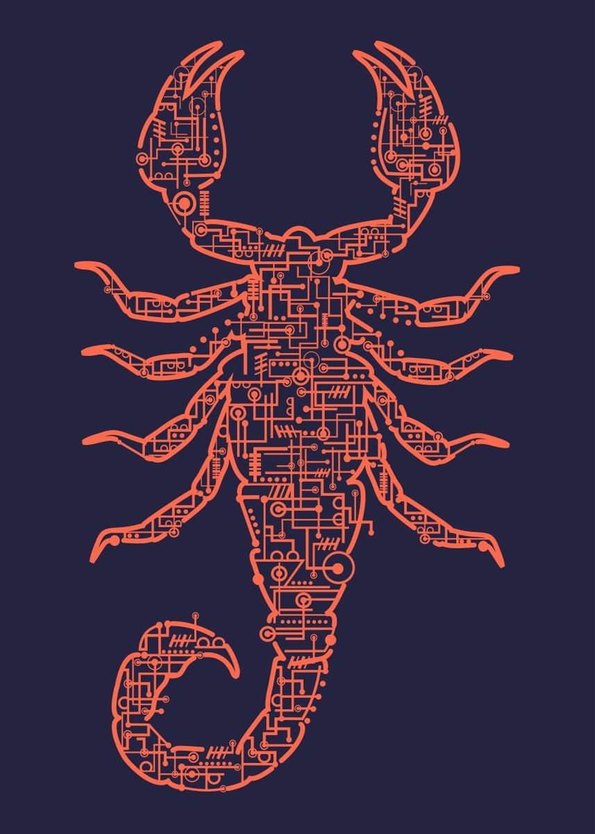 'Scorpion' Poster, picture, metal print, paint by Black Iris | Displate