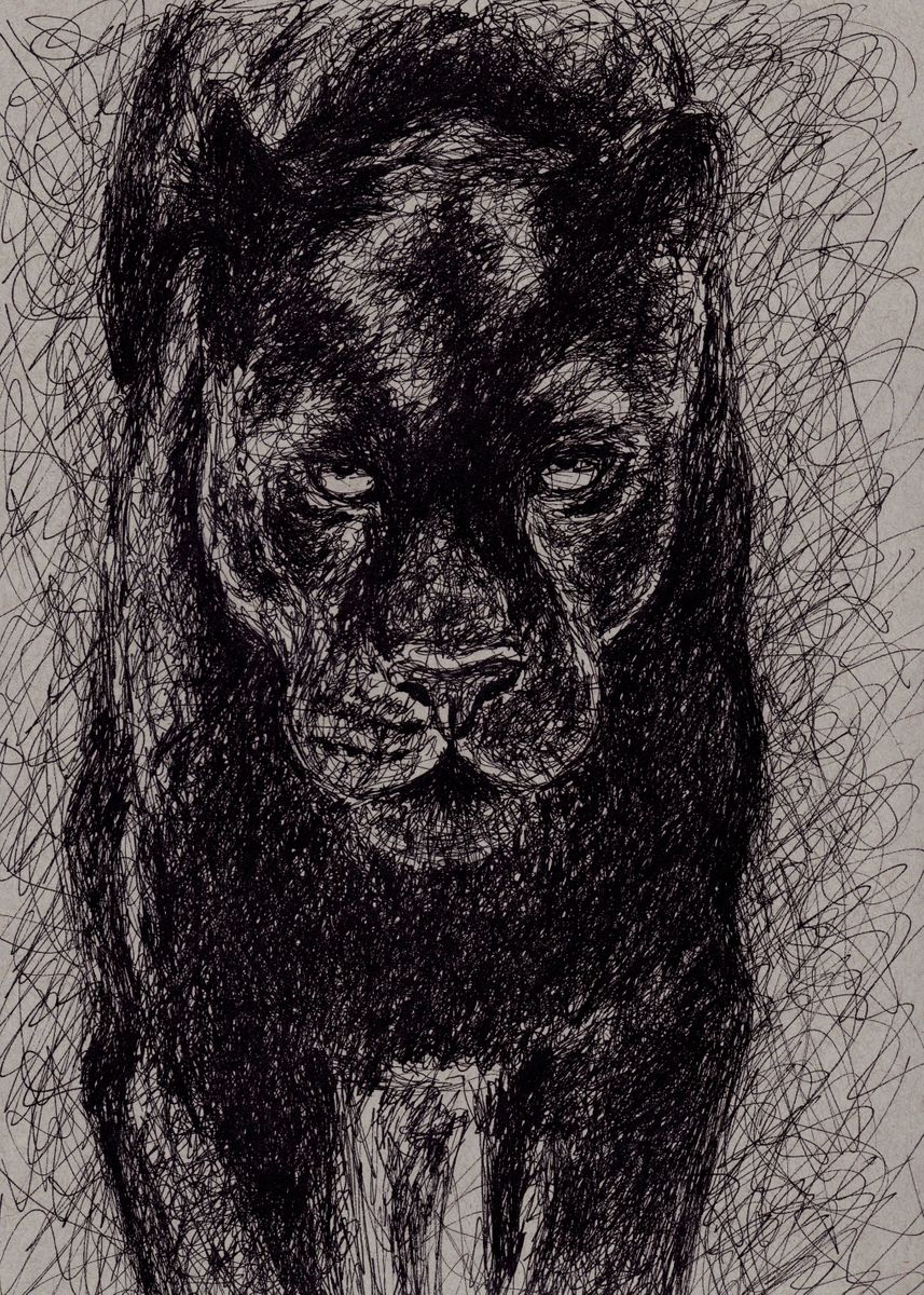 'black panther scribble art' Poster by Manuella Eggs | Displate