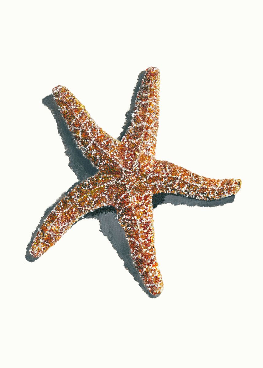'Common Starfish ' Poster, picture, metal print, paint by Eva Aphrodite ...