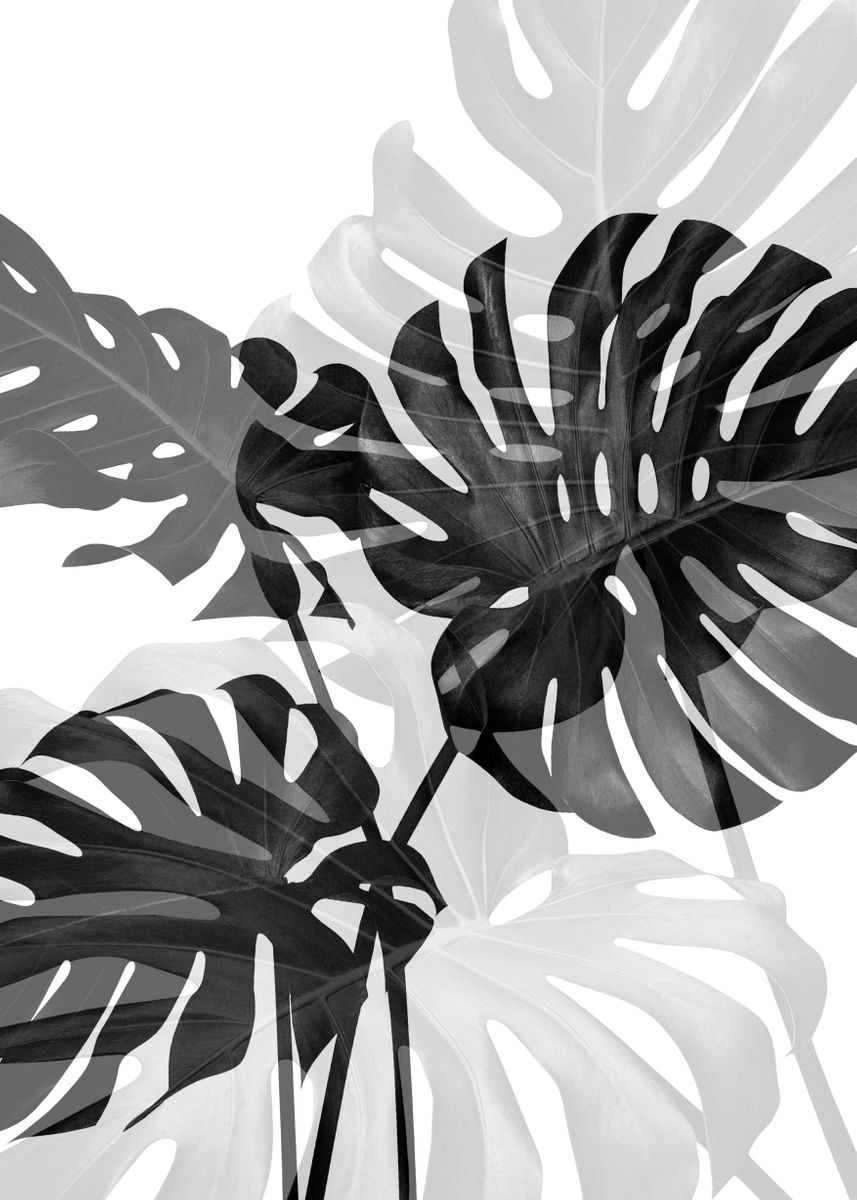 'Monstera Art' Poster, picture, metal print, paint by noemptywalls ...