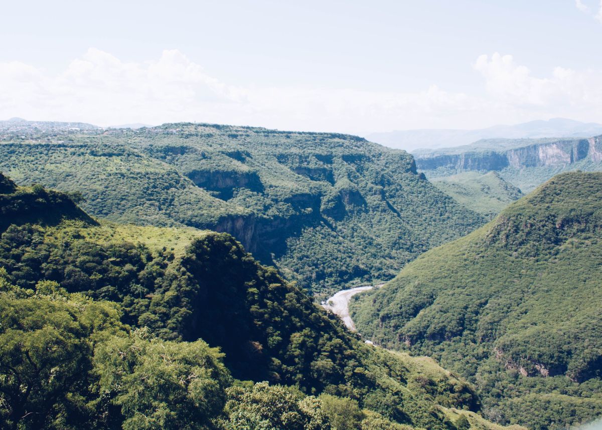 'PEACE' Poster by Alejandro Lomeli | Displate