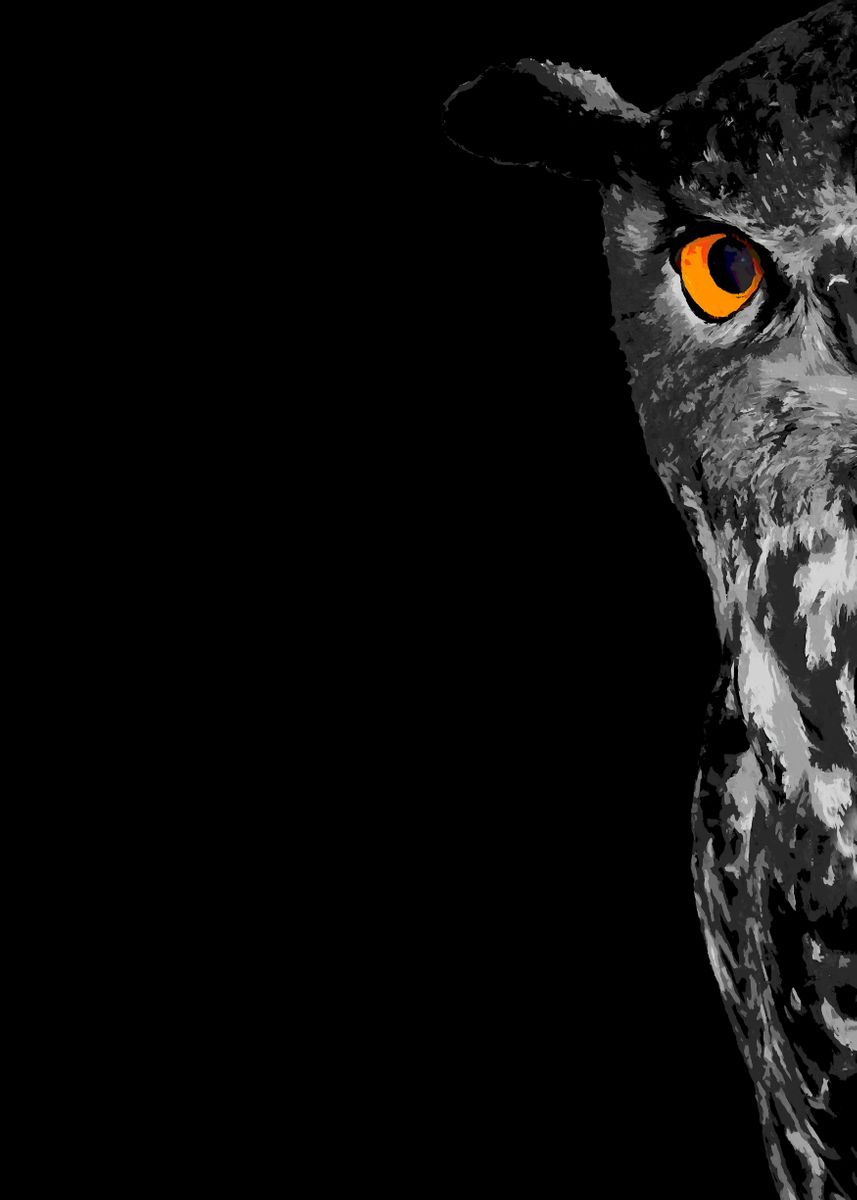 'Owl Whooo Is Here' Poster, picture, metal print, paint by Art Ofphotos ...