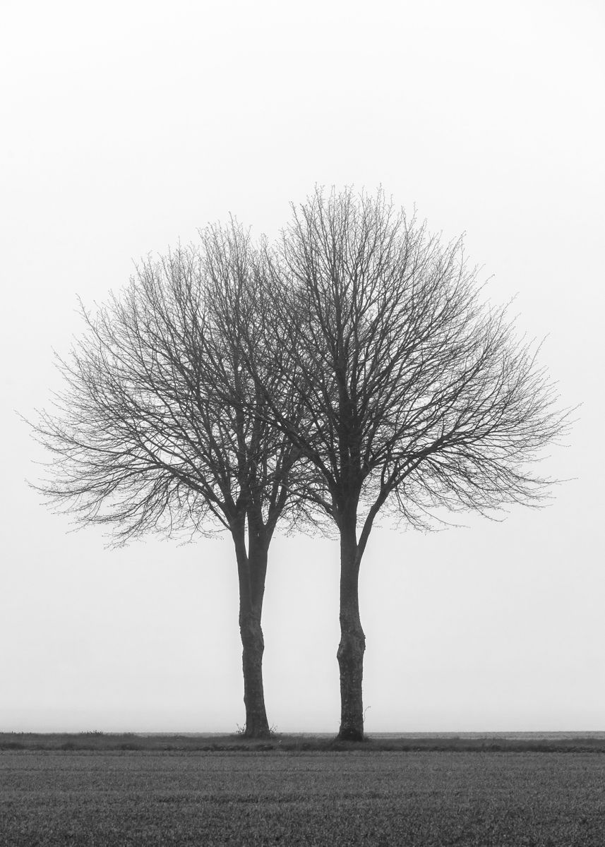 'Two trees' Poster by Formatura | Displate