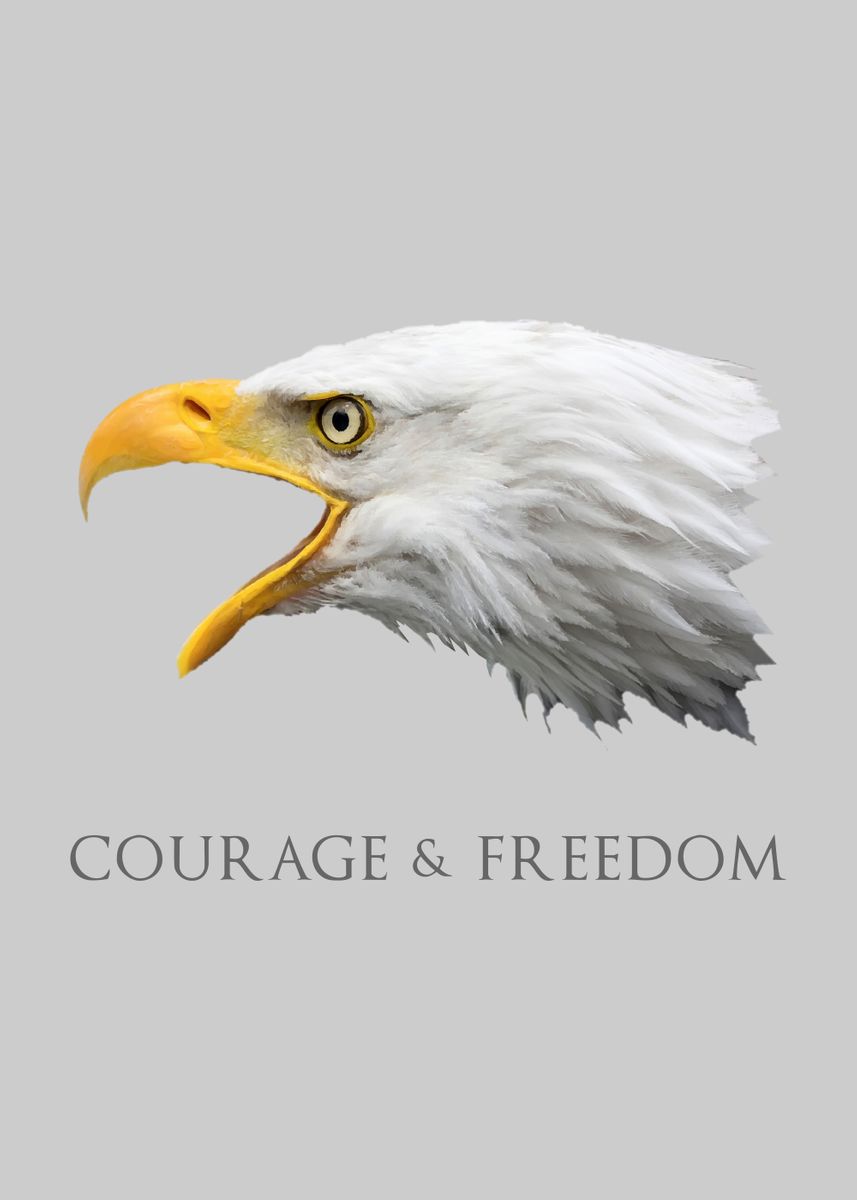 'Bald Eagle Courage Freed' Poster by Art Ofphotos | Displate