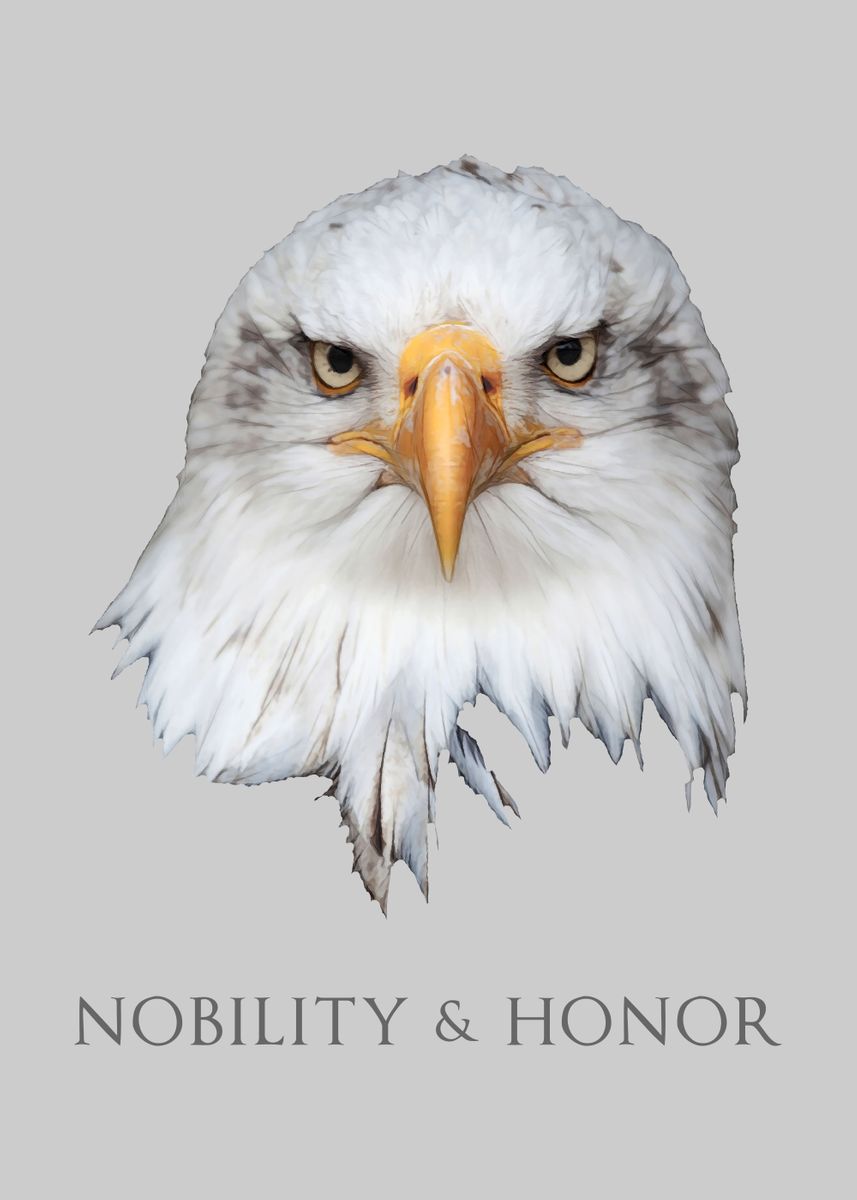 'Bald Eagle Nobility' Poster, picture, metal print, paint by Art ...