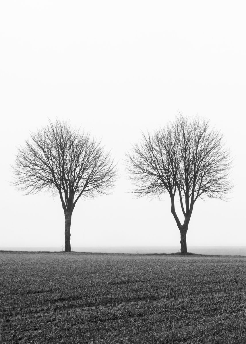 'Three trees' Poster, picture, metal print, paint by Formatura | Displate