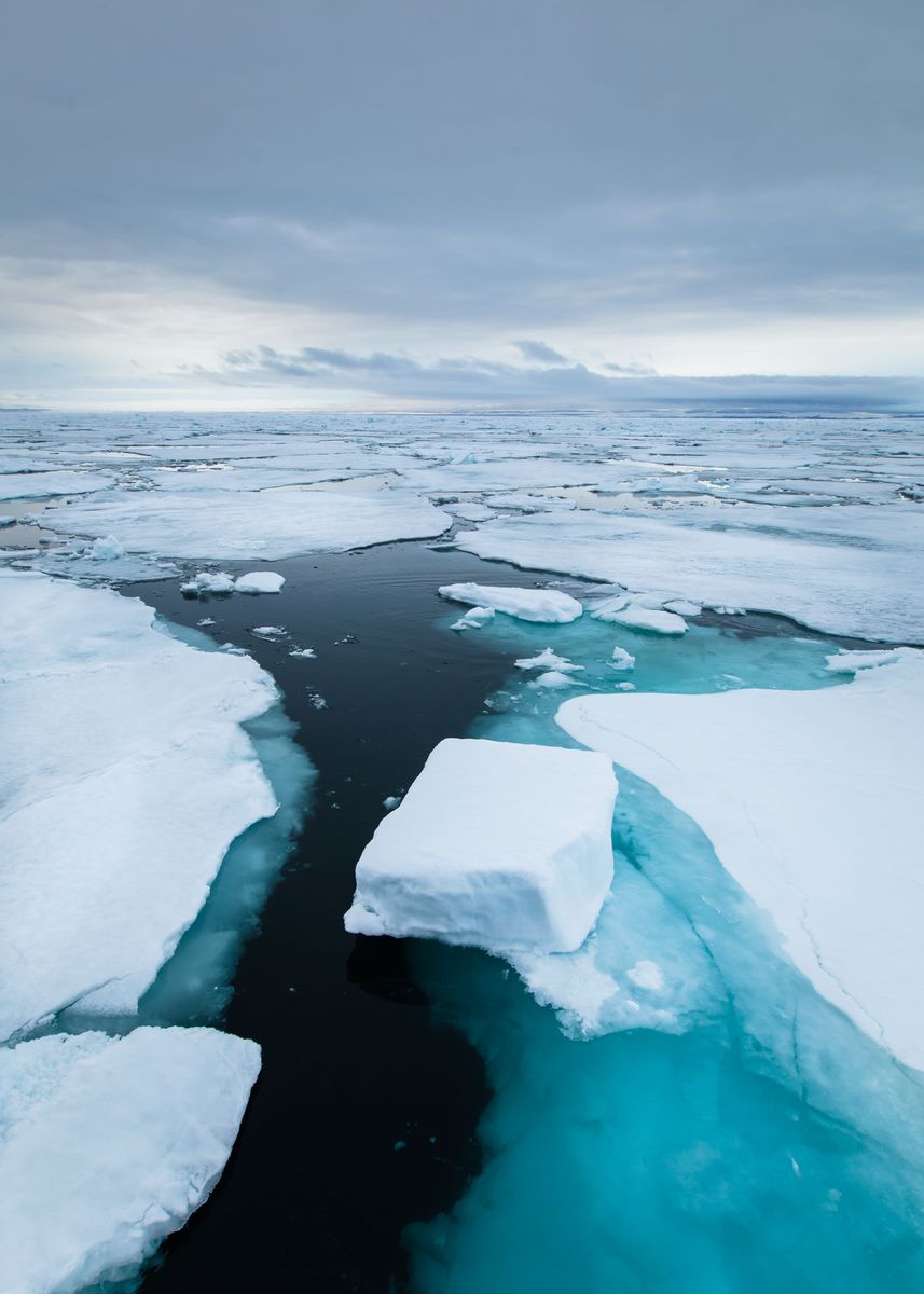 'Pack ice' Poster by Formatura | Displate