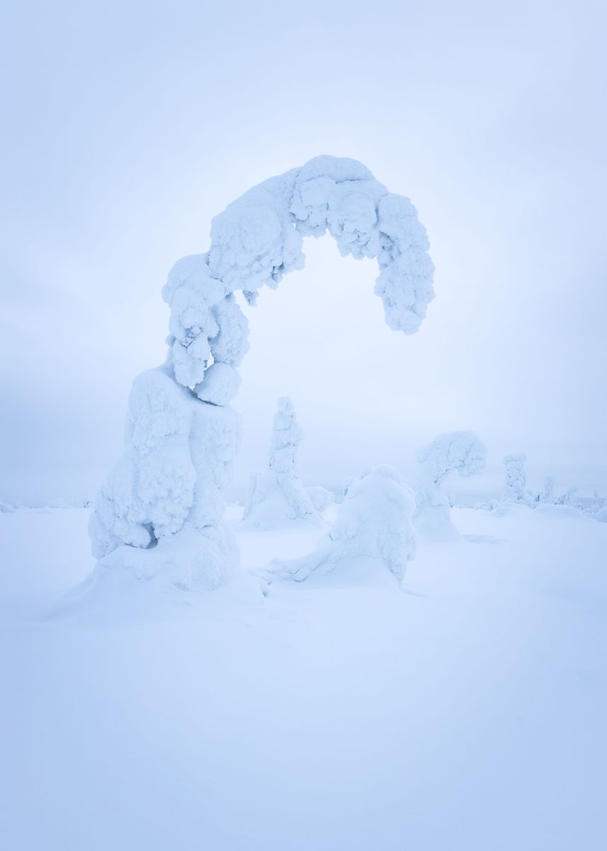 'Snow giant 50' Poster, picture, metal print, paint by Formatura | Displate