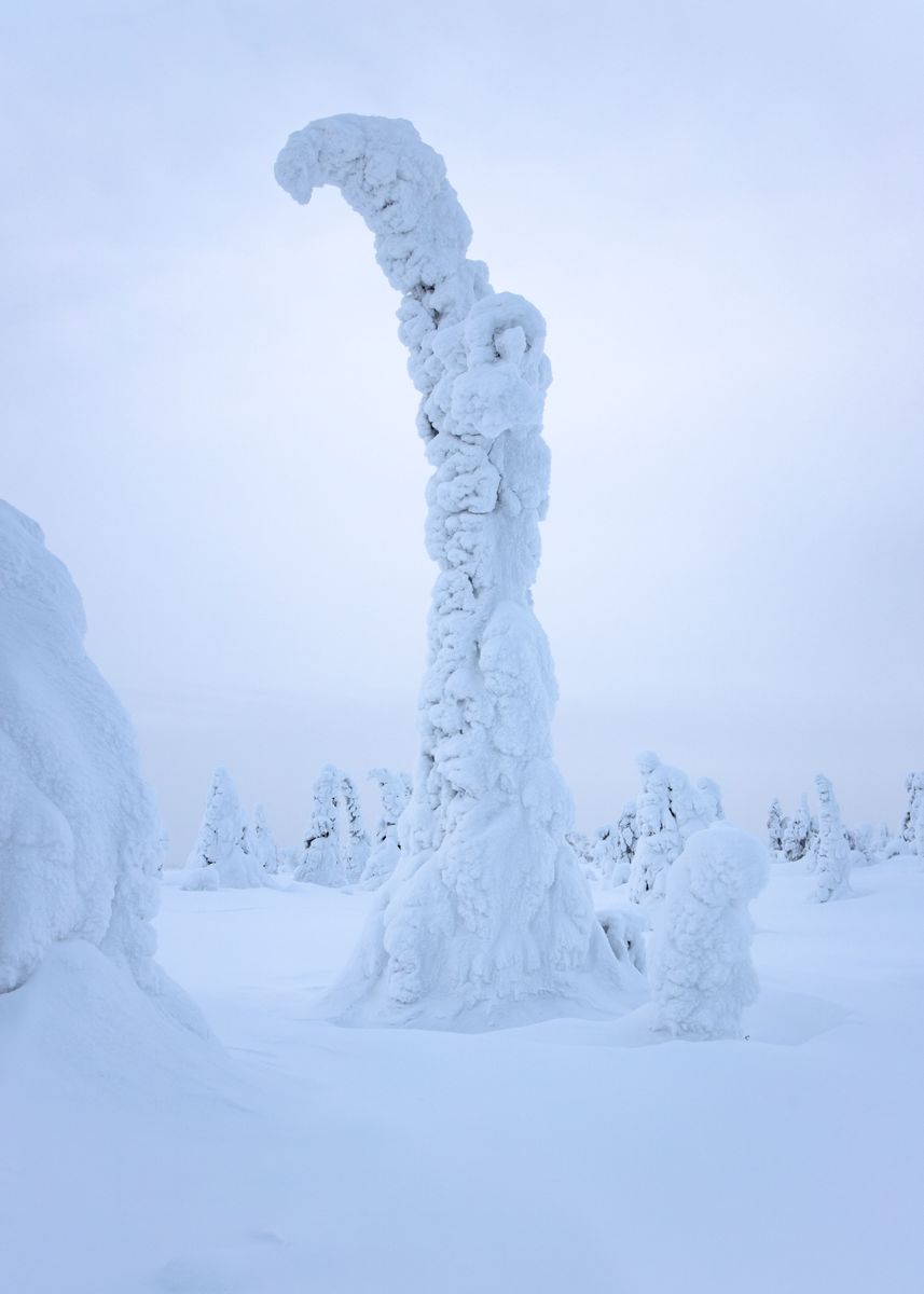 'Snow giant 09' Poster, picture, metal print, paint by Formatura | Displate