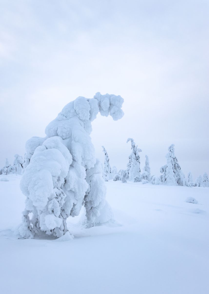'Snow giant 04' Poster, picture, metal print, paint by Formatura | Displate