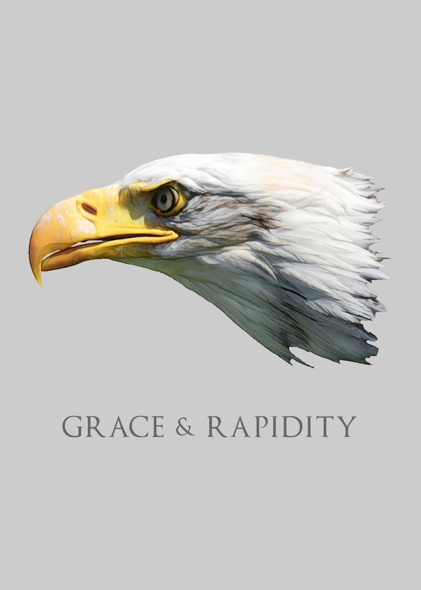 'Bald Eagle Grace' Poster by Art Ofphotos | Displate