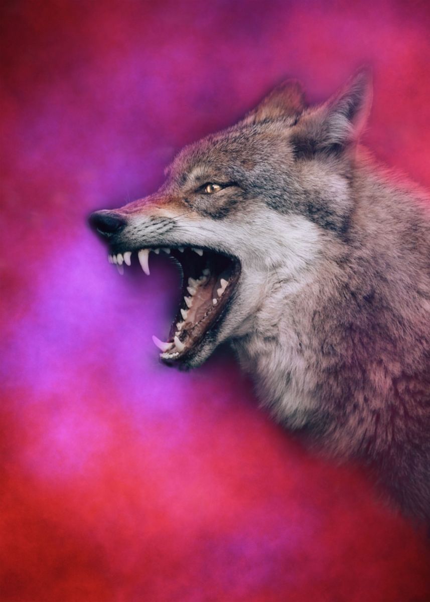 'Wolf Growl' Poster by Robb Wallace | Displate