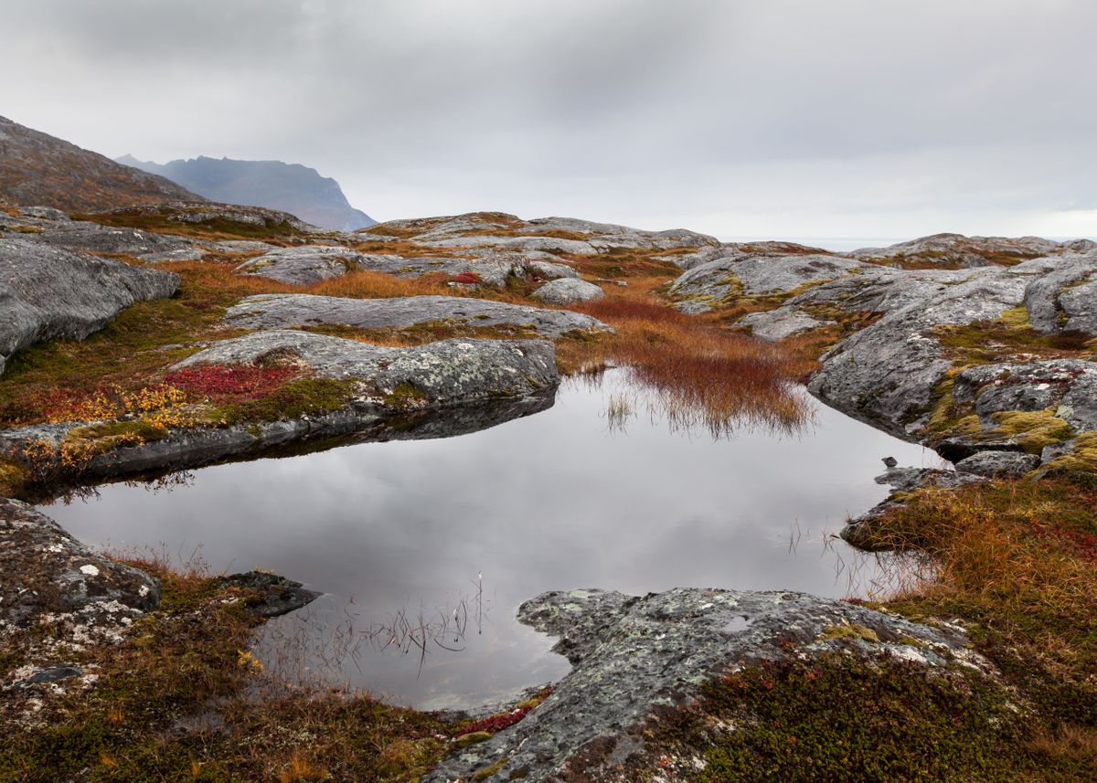 'Senja 02' Poster by Formatura | Displate