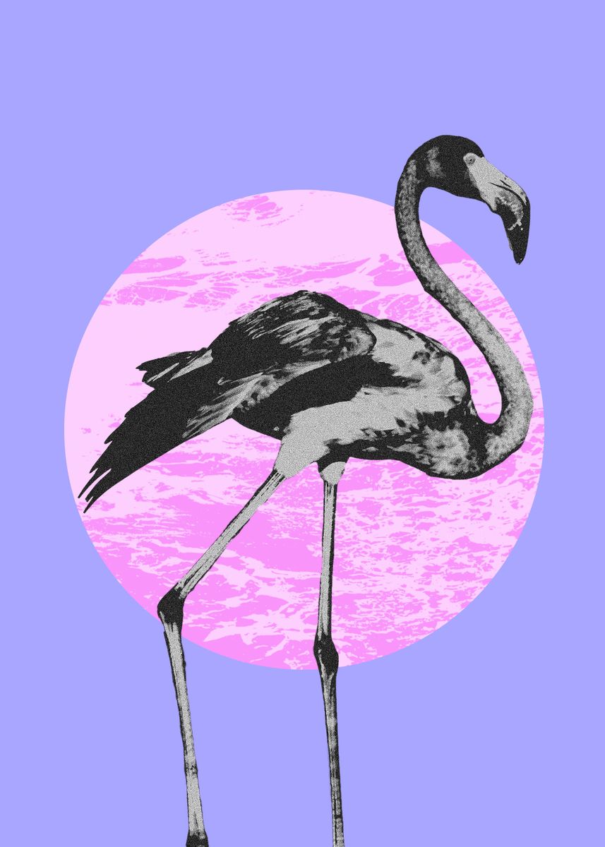 'Flamingo' Poster, picture, metal print, paint by Nora Riddle | Displate