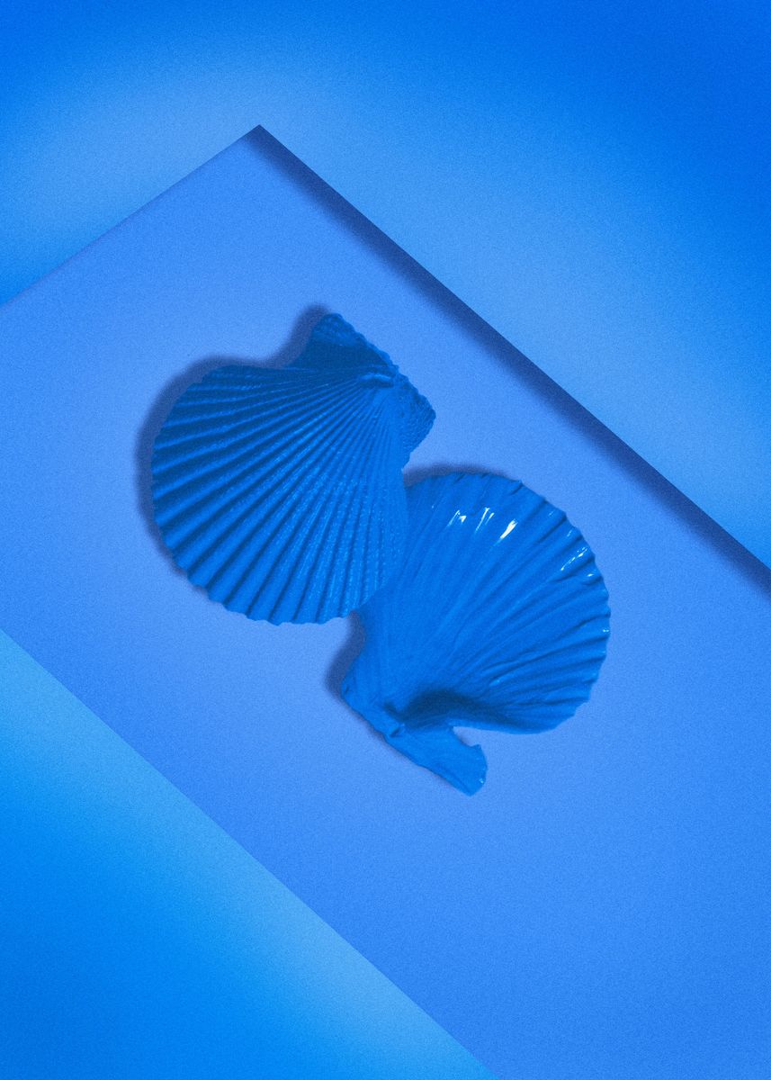 'Blue Shells' Poster, picture, metal print, paint by MrMoth | Displate