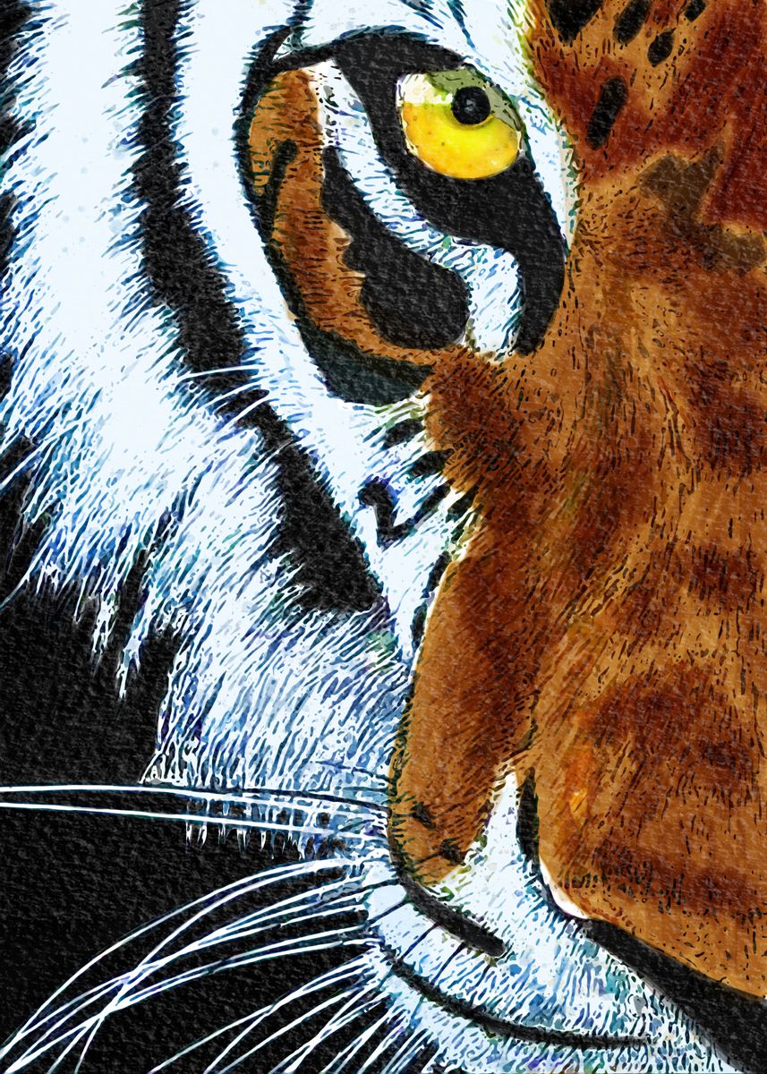 'Tiger Head Illustration' Poster, picture, metal print, paint by Swan ...