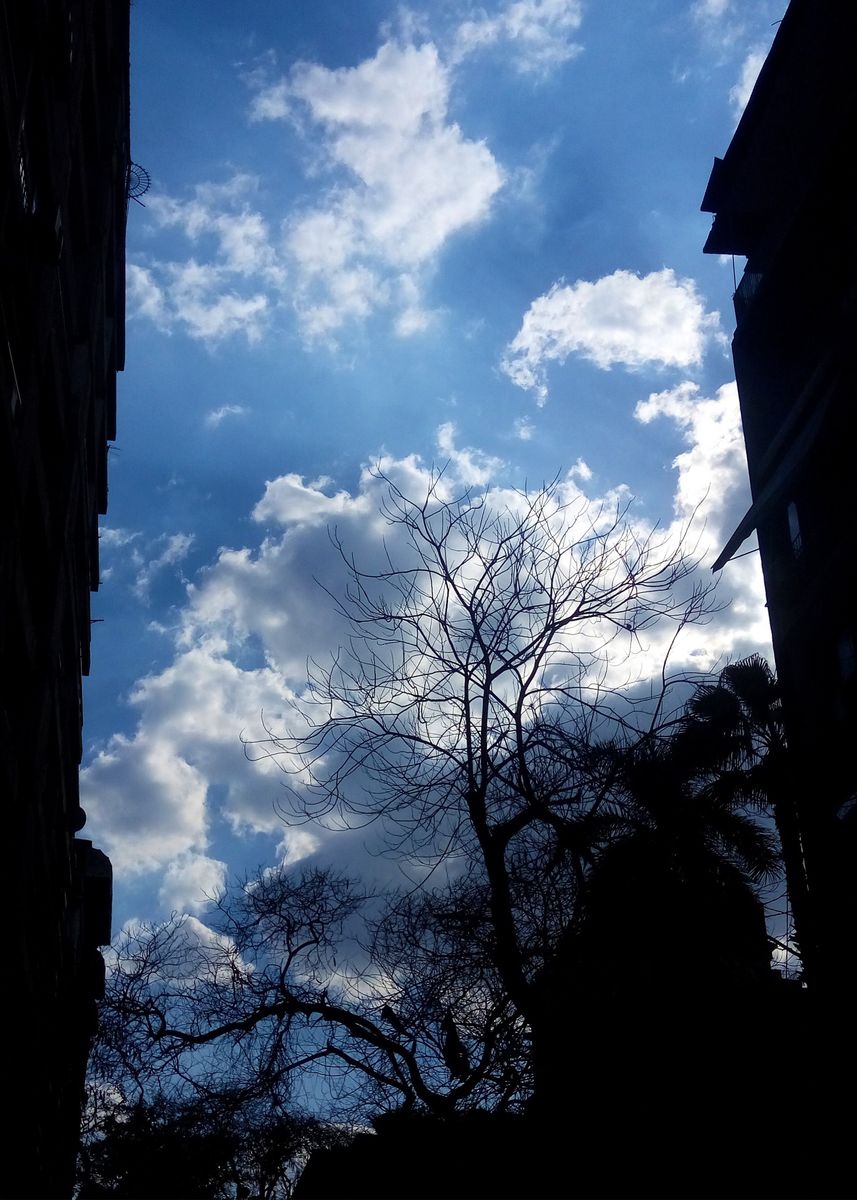 'sky' Poster, picture, metal print, paint by Areej | Displate