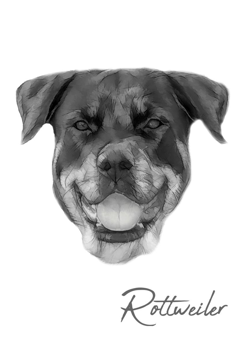 'Cool Rottweiler dog' Poster by Art Ofphotos | Displate