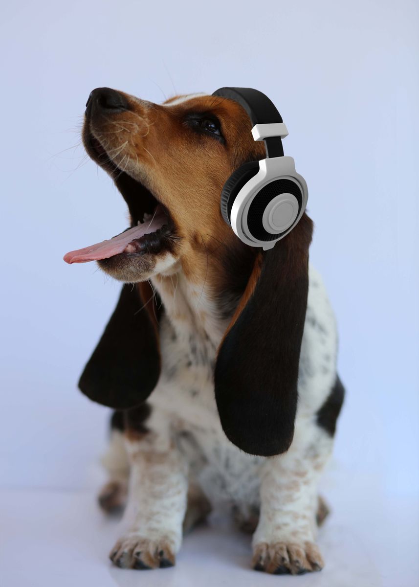 'Hush Puppy' Poster by Melanie Kowasic | Displate