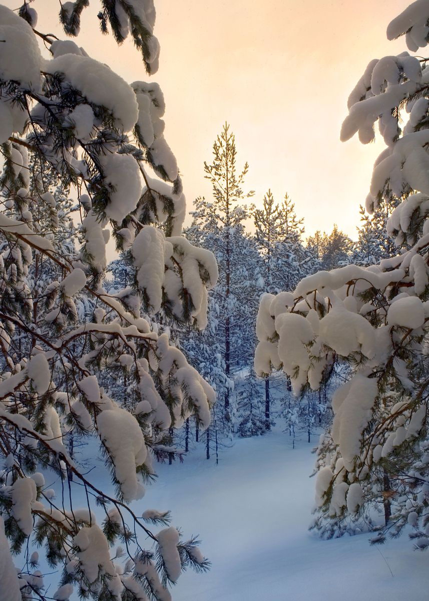 'Stunning Backgrounds' Poster by Stunning Wallpapers | Displate