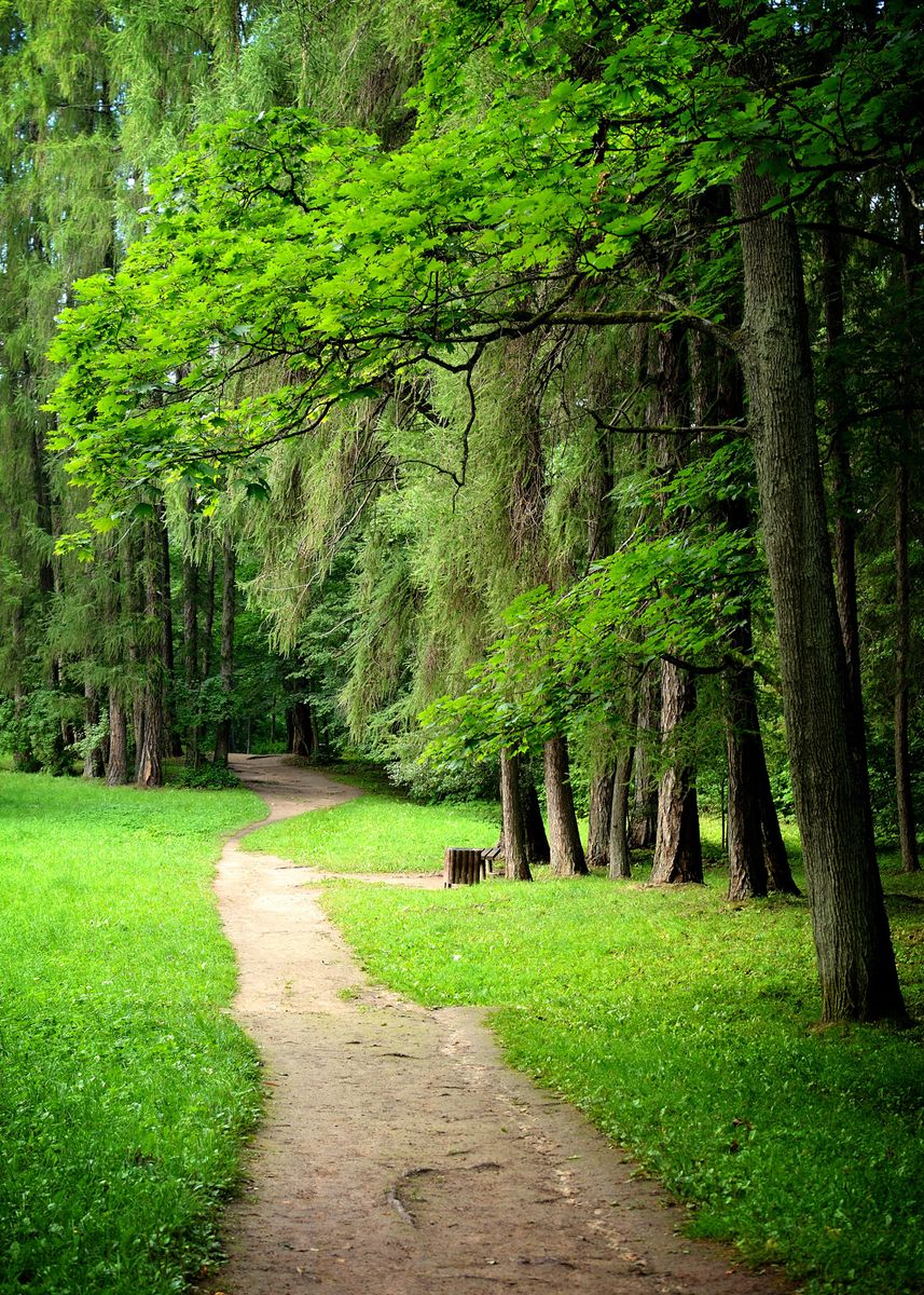 'Forest Park Road View' Poster, picture, metal print, paint by Stunning ...