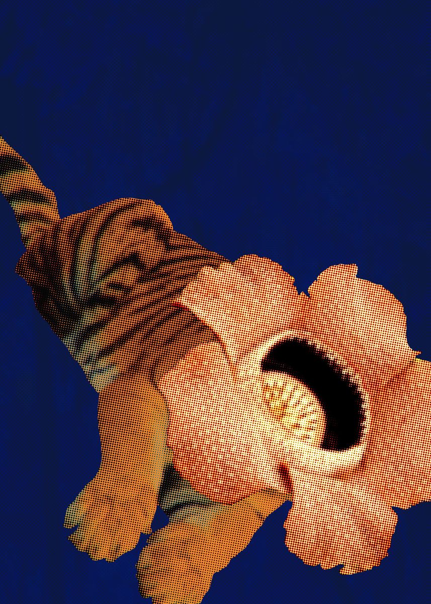 'Maneater' Poster, picture, metal print, paint by Caroline | Displate