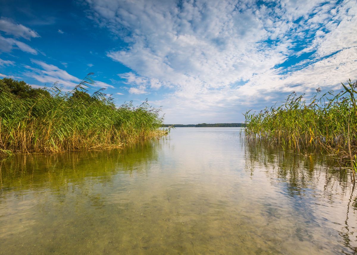 'Beautiful Lake Shore With ' Poster by Stunning Wallpapers | Displate