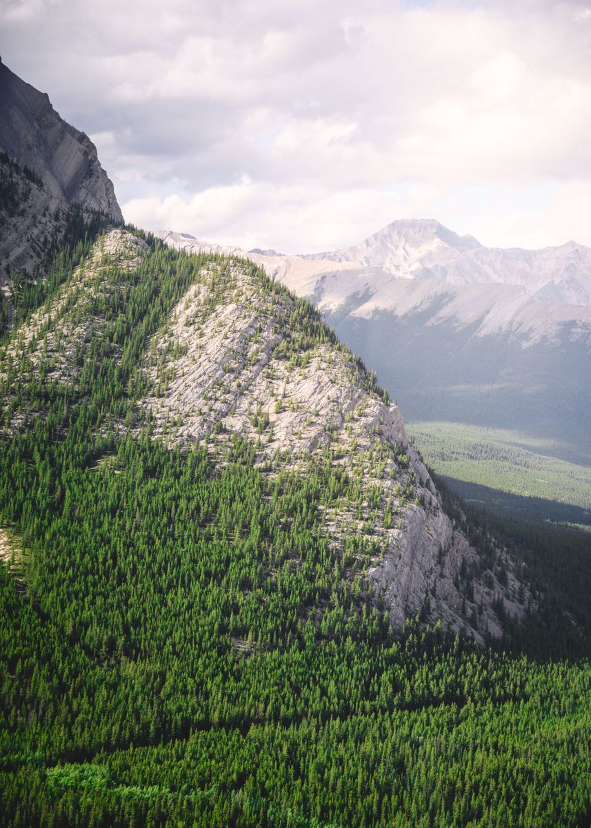 'Forrest surrounding rock' Poster, picture, metal print, paint by Nick ...