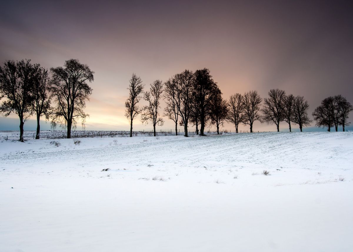 'Winter Field Sunset' Poster by Stunning Wallpapers | Displate