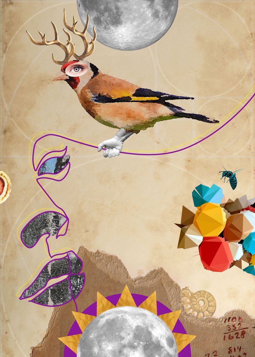 'Fibonacci Bird' Poster by Vignetta Studio | Displate