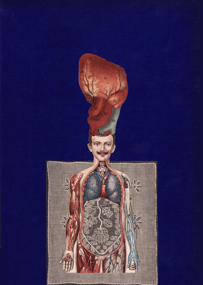 'Adam 01' Poster, picture, metal print, paint by farshido | Displate