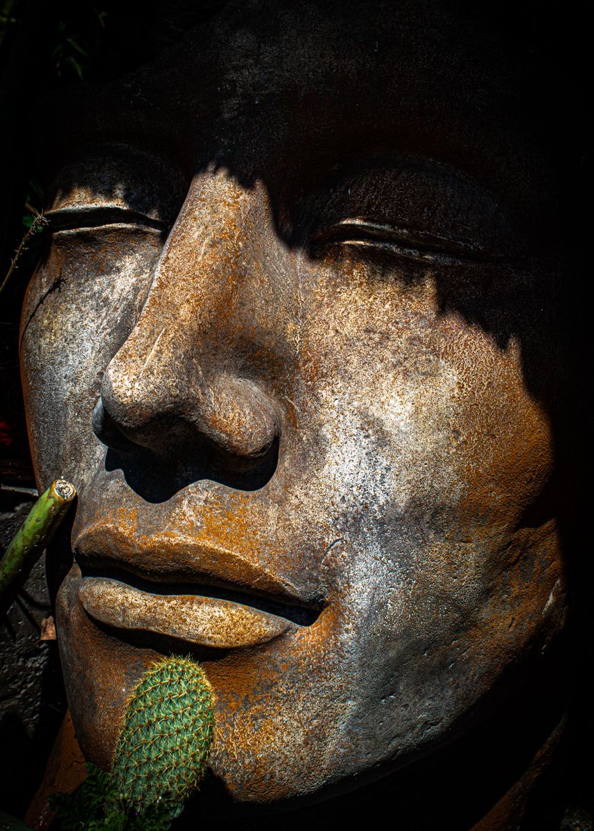 'Man in peace' Poster, picture, metal print, paint by Nina Pister ...