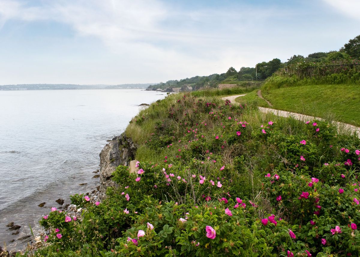 'Newport Rhode Island Shore' Poster by Stunning Wallpapers | Displate