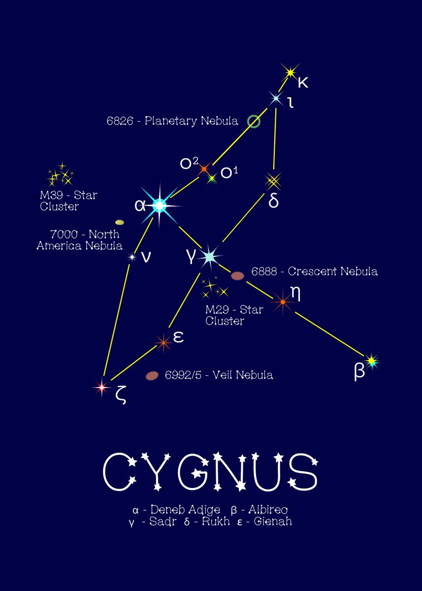 'Constellation Cygnus' Poster, picture, metal print, paint by Art ...